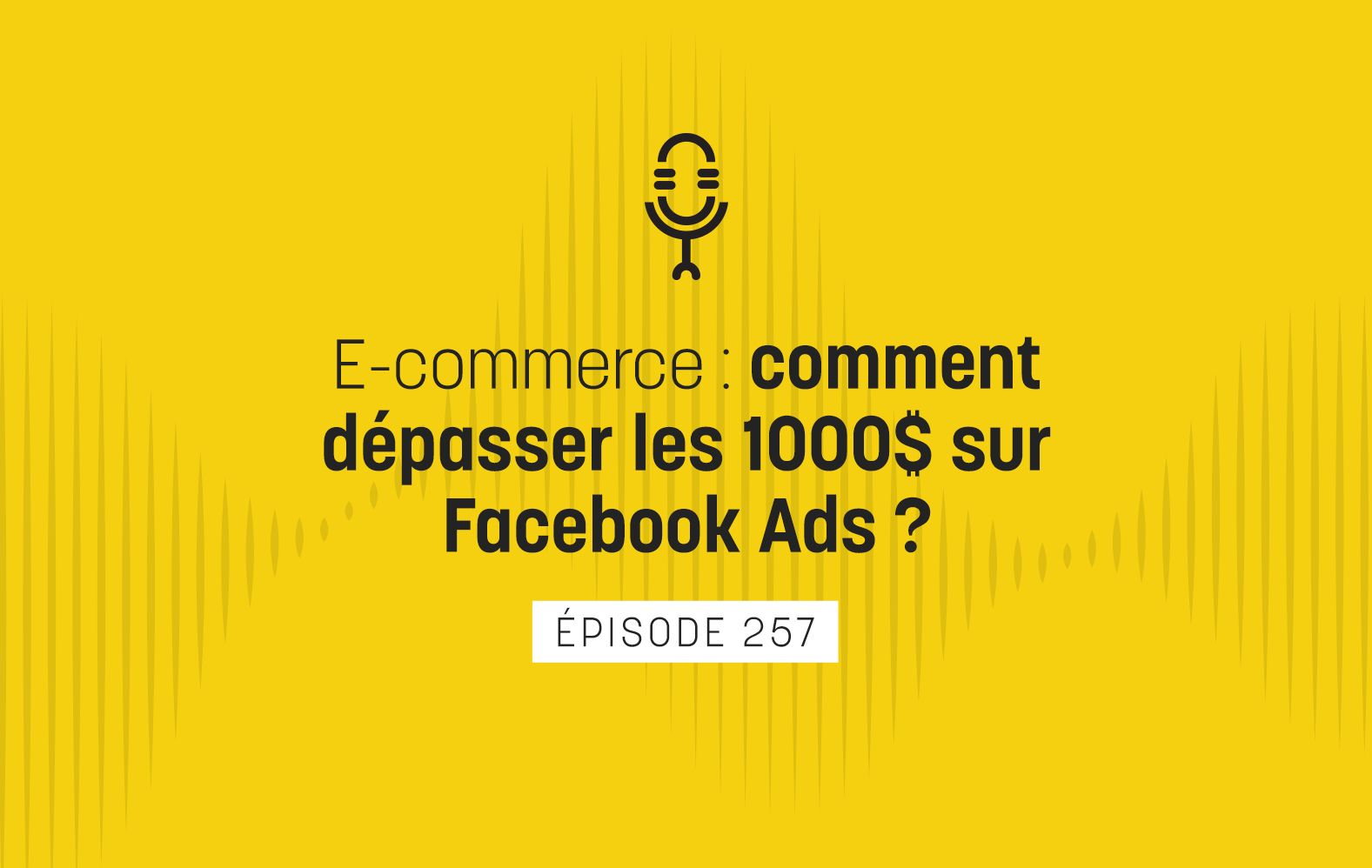 E-commerce : comment dépasser les 1000$ sur Facebook Ads